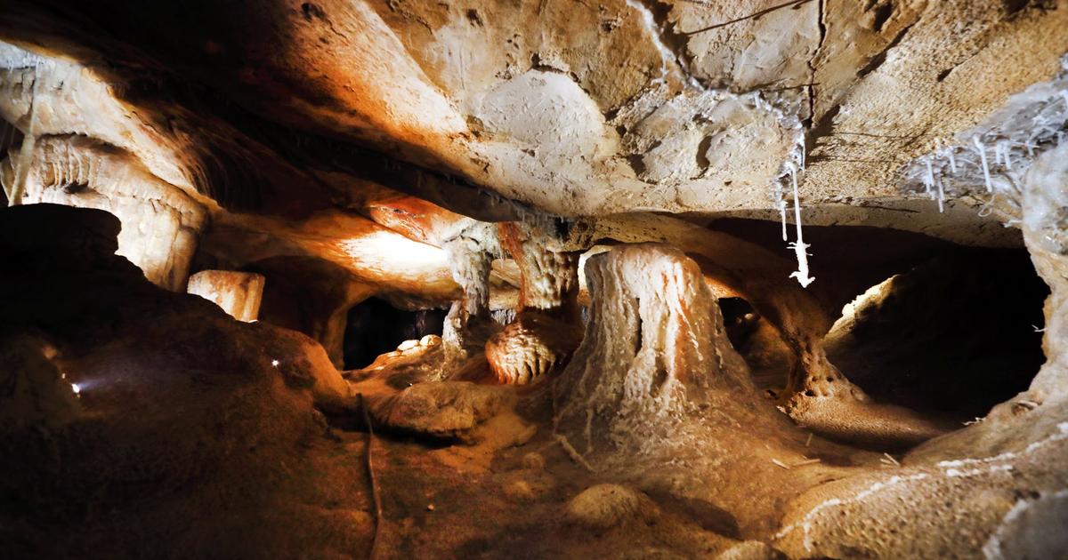 À Marseille, avec Henri Cosquer dans le Lascaux des mers