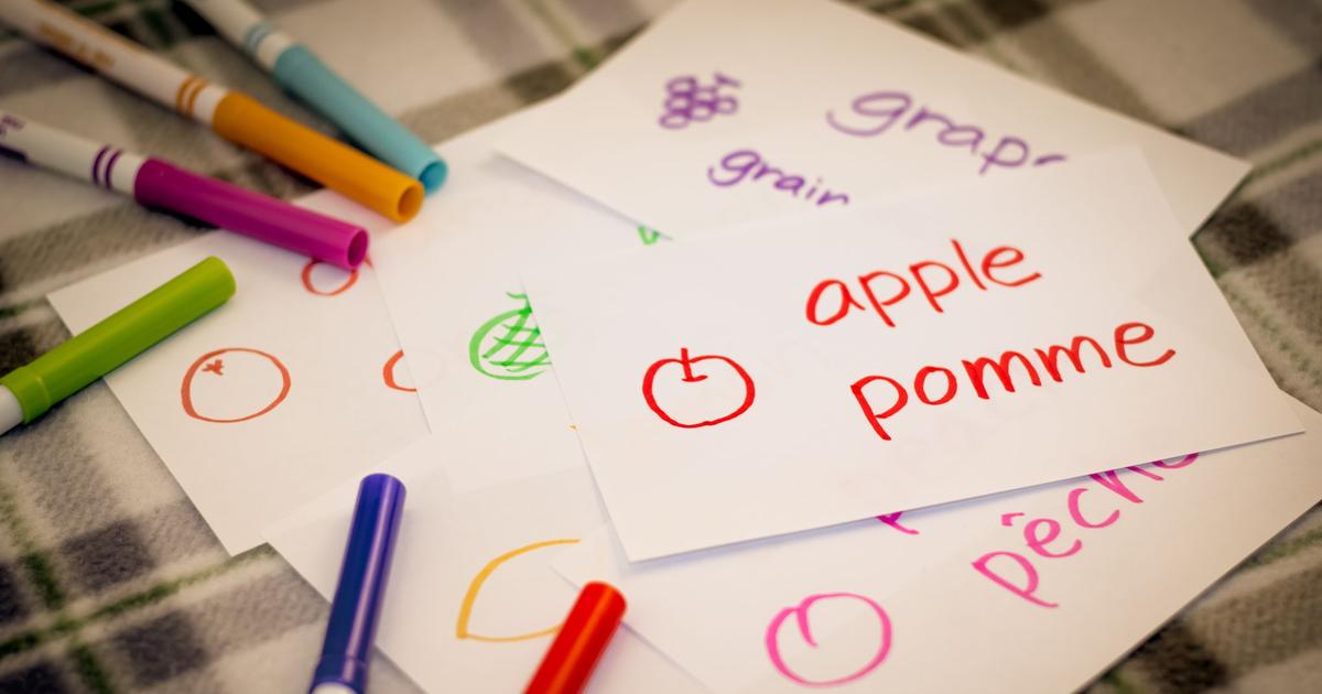 English Begins In Primary School
