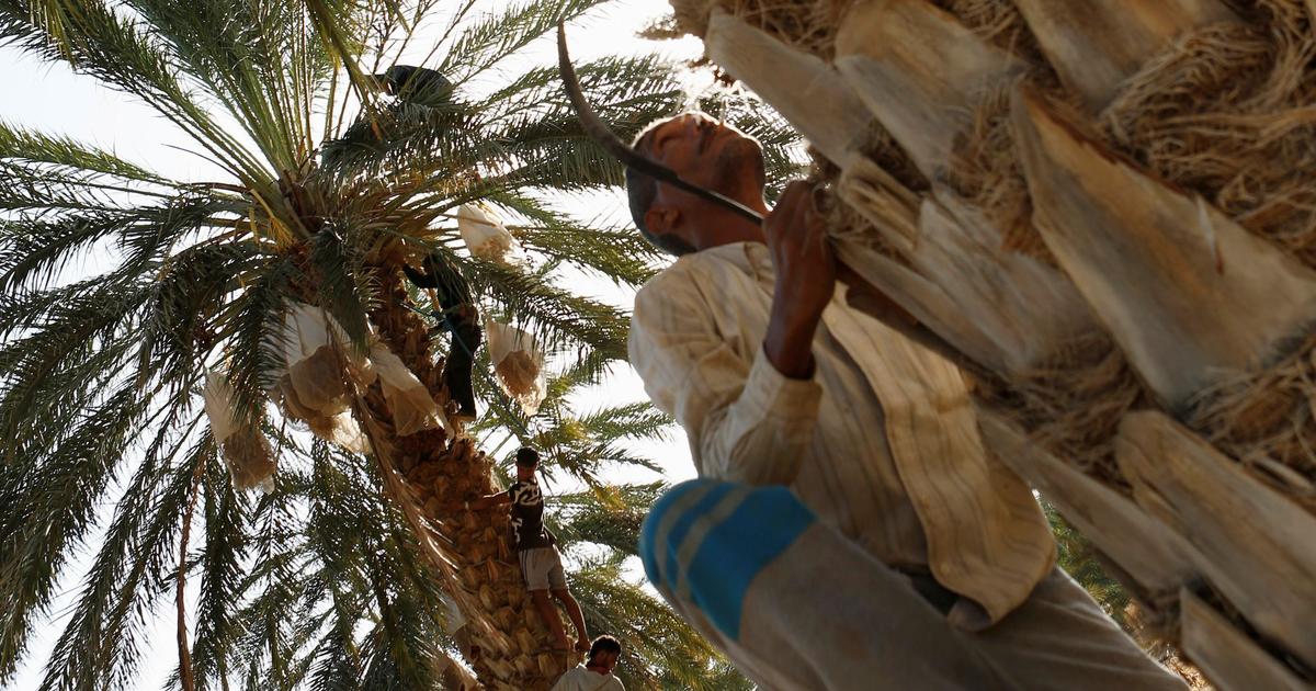 Dans le Sud tunisien, la lassitude face aux législatives