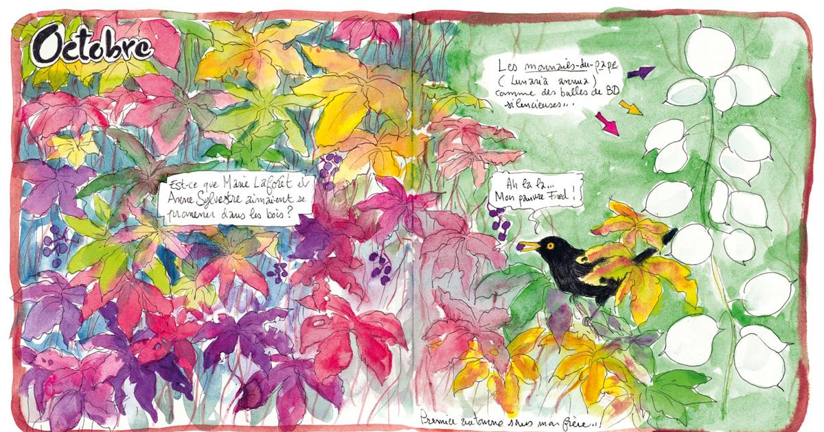 Carnet d’un jardinier amoureux du vivant, de Fred Bernard: ode au ...