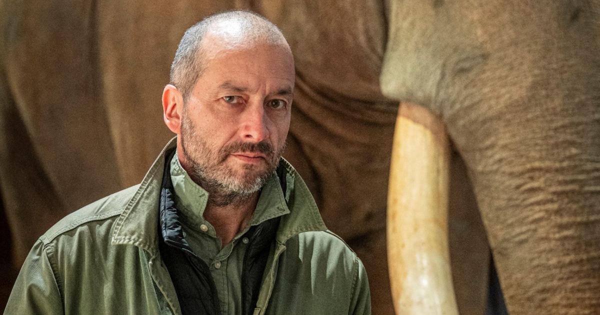 Guillaume Bonn: «En Afrique, on chasse des populations de leurs terres ...