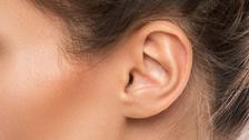 Oreille : anatomie, fonction et maladies associées