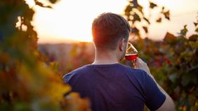 Quels sont les effets du vin sur la santé humaine