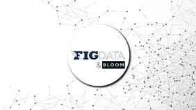 Brad Pitt, du gore et de l’humour : les vingt meilleurs films du XXIe ...