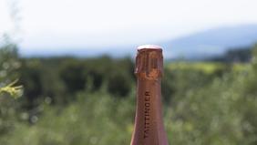 En piste pour le tour de France des roseraies