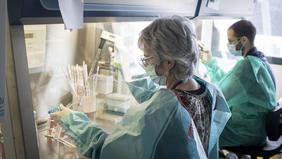 Yasmine Belkaid, nouvelle directrice de l’Institut Pasteur: «La science ...