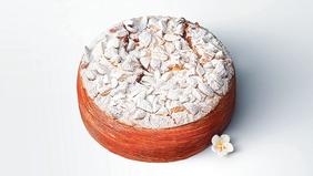 Alice Bosio sur le Figaro