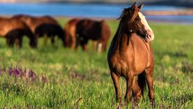 «Second» ou «Deuxième» : quelle différence