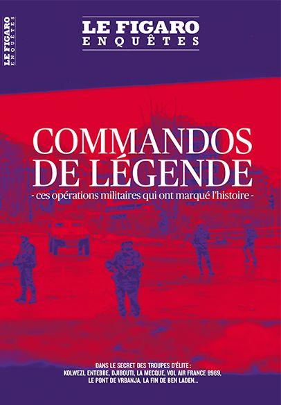 Commandos de légende: décembre 1994, Noël de terreur à bord du Vol AF8969