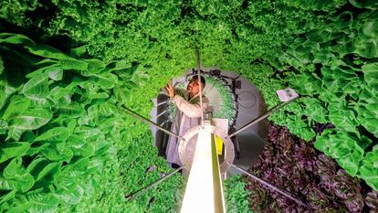 Pascal Thomas, un visionnaire face aux khmers verts