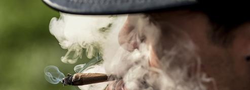 Le Cannabis à L Adolescence Accroît Le Risque Psychotique