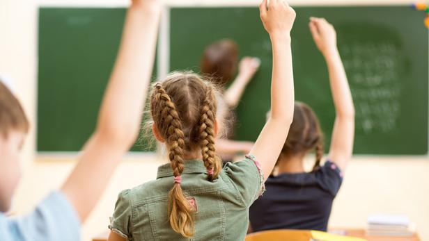 D’où vient le «fayot»?