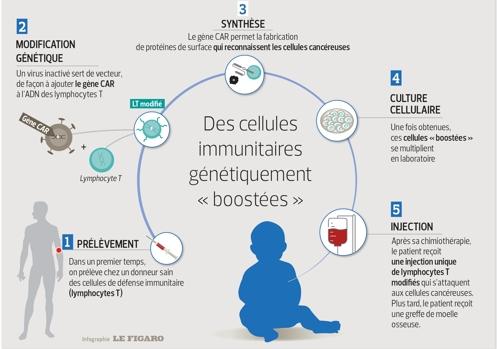Leucémie : deux bébés guéris par un nouveau traitement