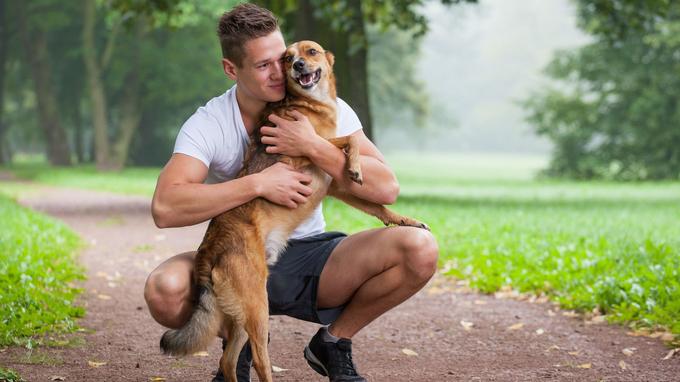 L'amitié entre le chien et l'homme, une affaire hormonale