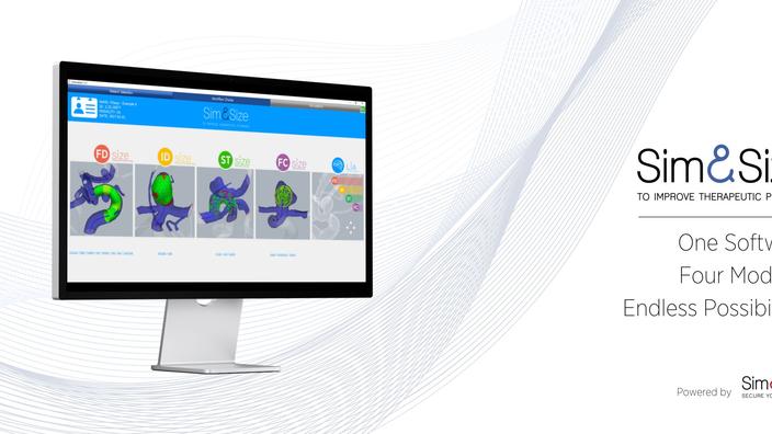 Sim & Cure, l’amélioration de la prise en charge des anévrismes cérébraux