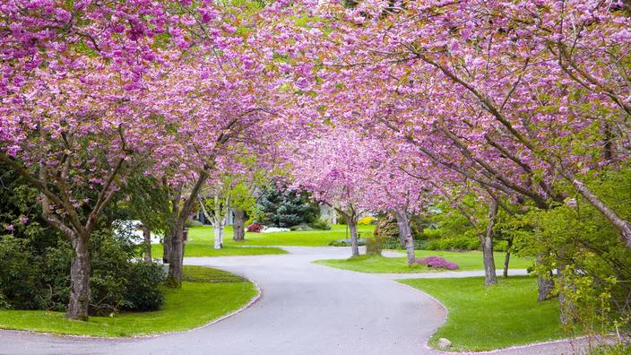 Jusqu'à la fin du siècle, le printemps ne démarrera plus jamais le 21 mars