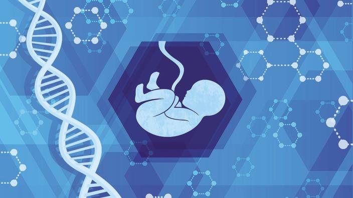 5 questions pour comprendre l’affaire des bébés génétiquement modifiés ...