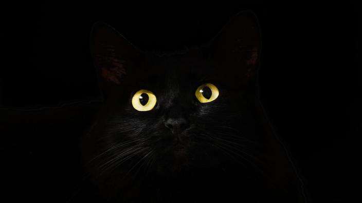 Seul un (vrai) superstitieux obtiendra un 10/10 à ce test
