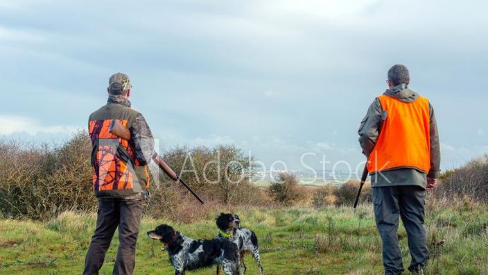 Les dates d’ouverture de la chasse pour la saison 2019-2020