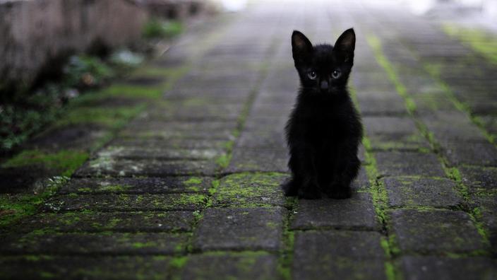Seul un superstitieux aura un 10/10 à ce test