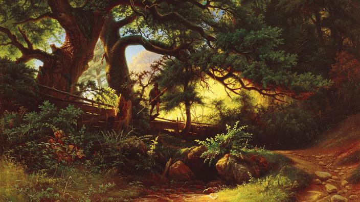 Jean de La Fontaine, un scrupuleux gestionnaire forestier