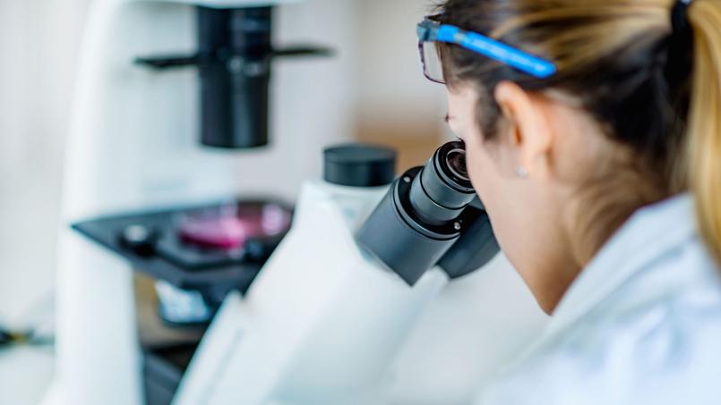 Le gouvernement lance un nouveau plan ambitieux contre les maladies rares Le gouvernement lance un nouveau plan ambitieux contre les maladies rares