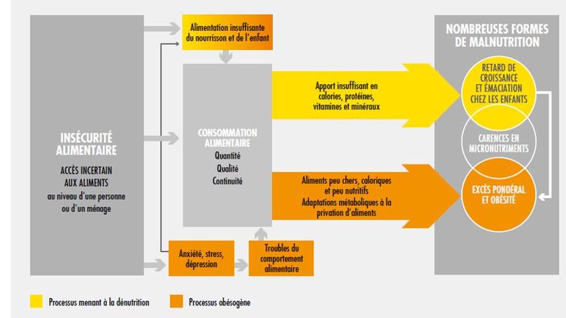 Une personne sur neuf souffre de la faim dans le monde selon la FAO