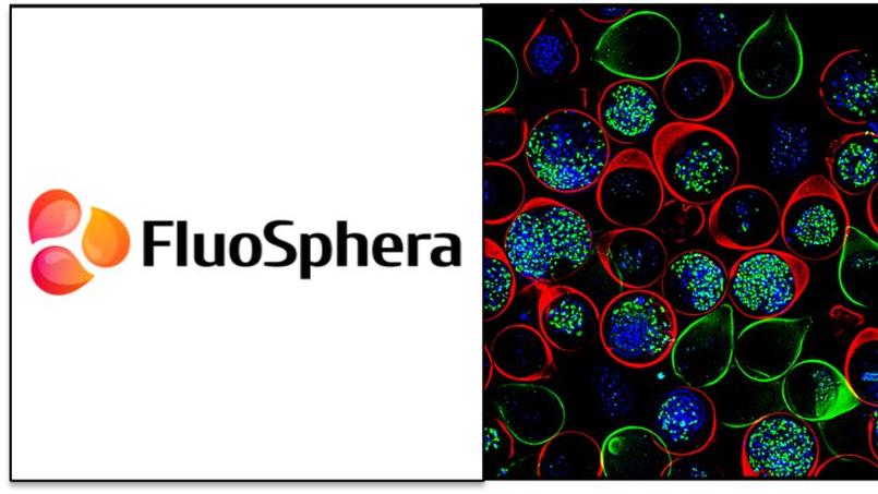 Fluosphera : mieux prédire les réponses du corps aux médicaments