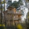 Découvrez ces maisons dans les arbres au cœur de la forêt