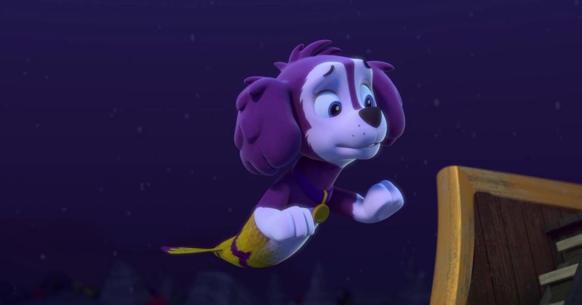 Paw Patrol, la Pat'Patrouille : Saisons, Casting, Episodes, Résumés