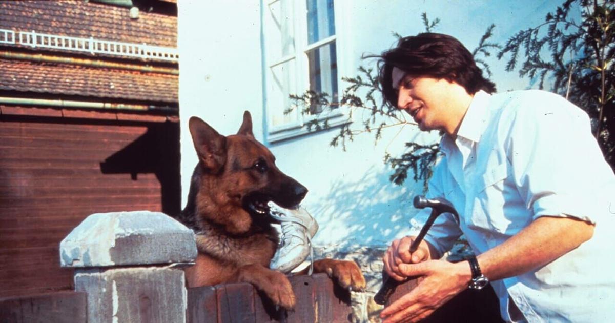 Rex : Saisons, Casting, Episodes, Résumés