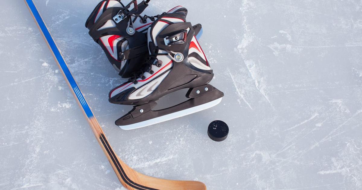 Hockey sur glace : NHL - Playoffs. Stanley Cup
