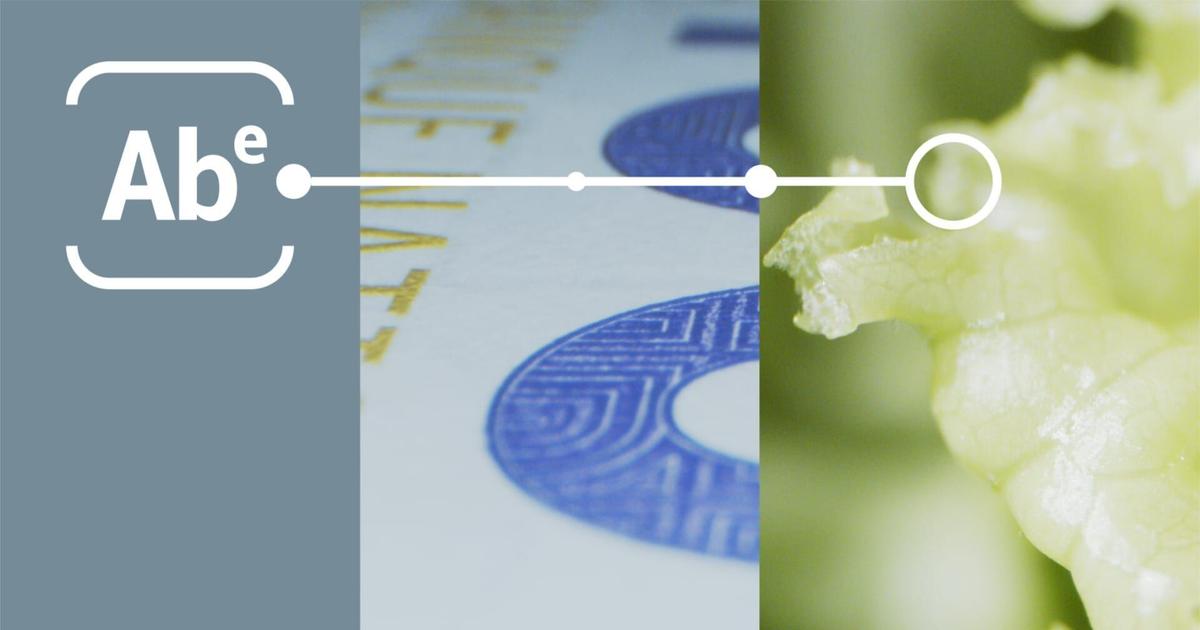 A bon entendeur - French tacos : au sommet de la malbouffe