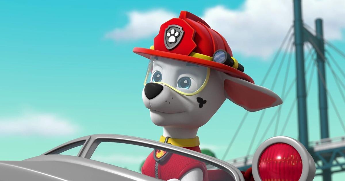 Paw Patrol, la Pat'Patrouille - Saison 9 - Épisode 16 : L'équipe au ...