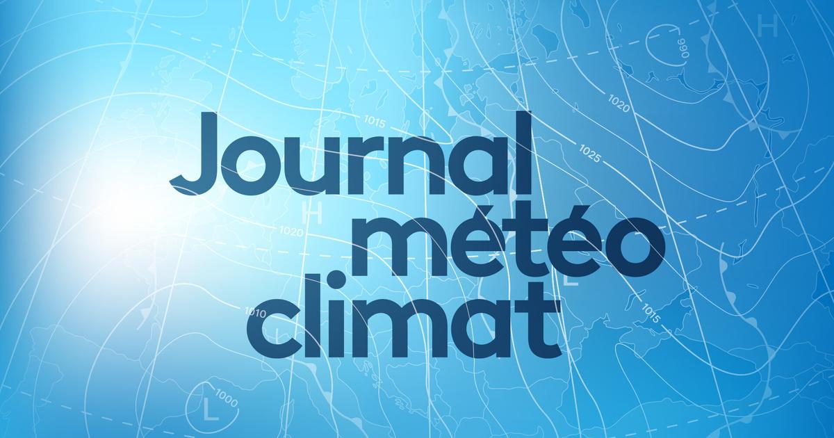 Journal Météo Climat : Saisons, Casting, Episodes, Résumés