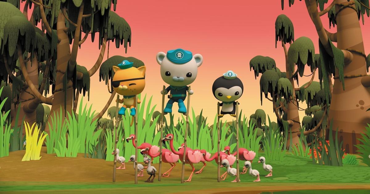 Les Octonauts - Saison 4 - Épisode 11 : Les Octonauts et les flamants roses