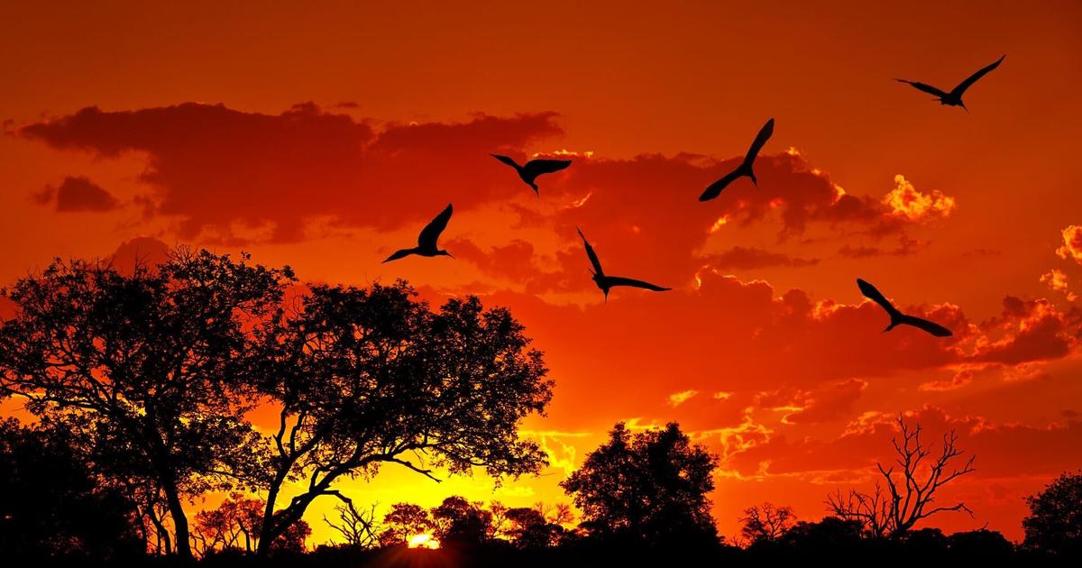 Dra. Fabiola Jones - Épisode 4 : En la cuerda floja