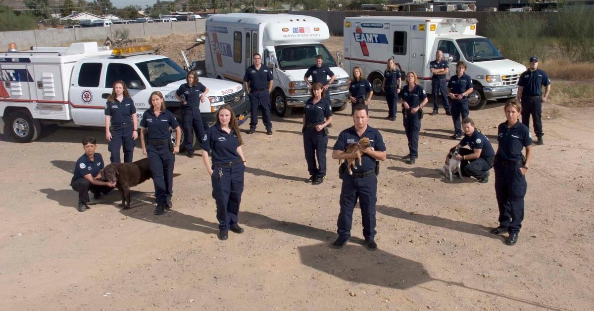 Animal Cops Phoenix - Saison 19 - Épisode 3 : Héros abandonné