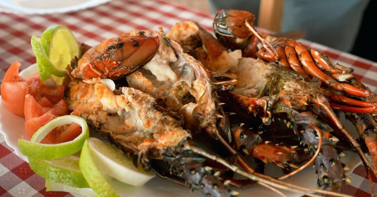 Voyage en cuisine - Épisode 138 : Cap-Vert : la langouste grillée