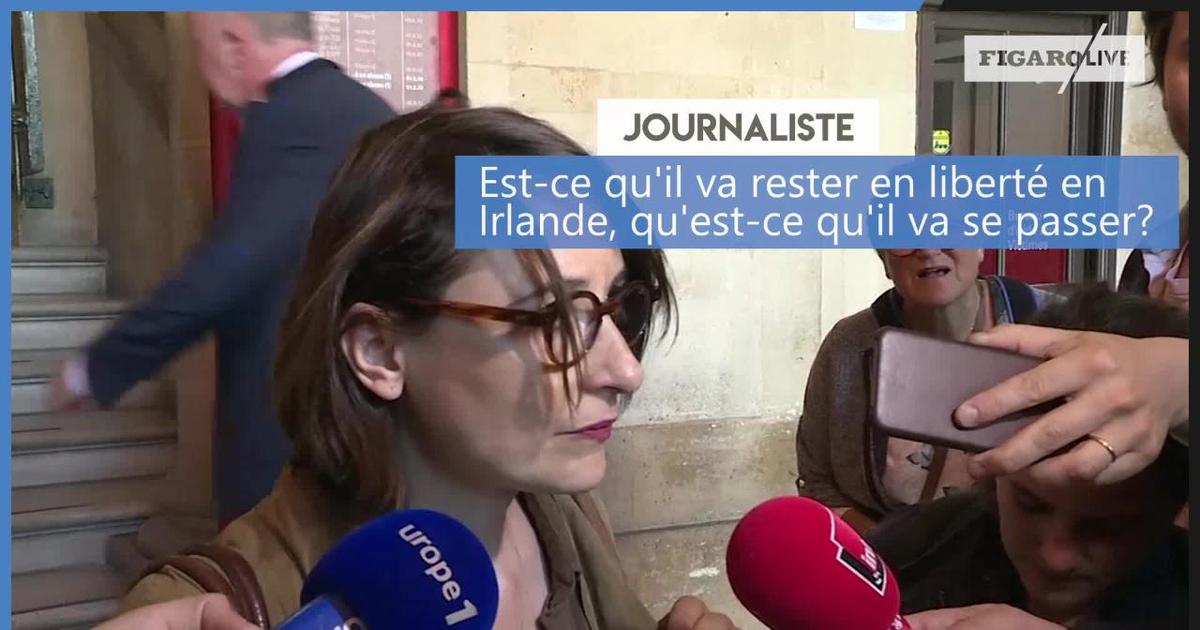 Meurtre de Sophie Toscan du Plantier : 25 ans de prison pour Ian Bailey
