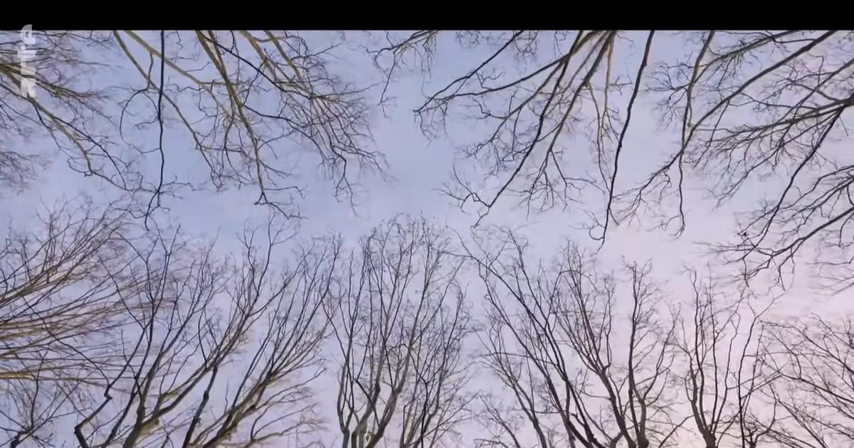 Aux armes, citoyennes ! Les femmes dans la Révolution française