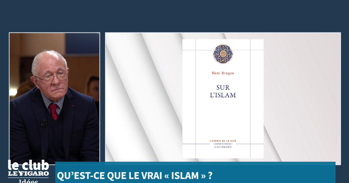 Islamophobie: ce terme «met sur le même plan des imbéciles et des ...