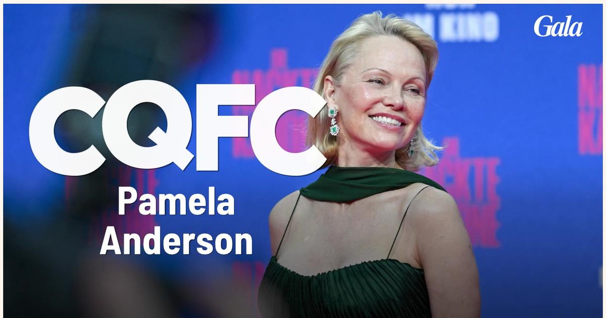 Pamela Anderson : Alerte à Malibu, Vie Privée, Mannequinat... Ce qu'il ...