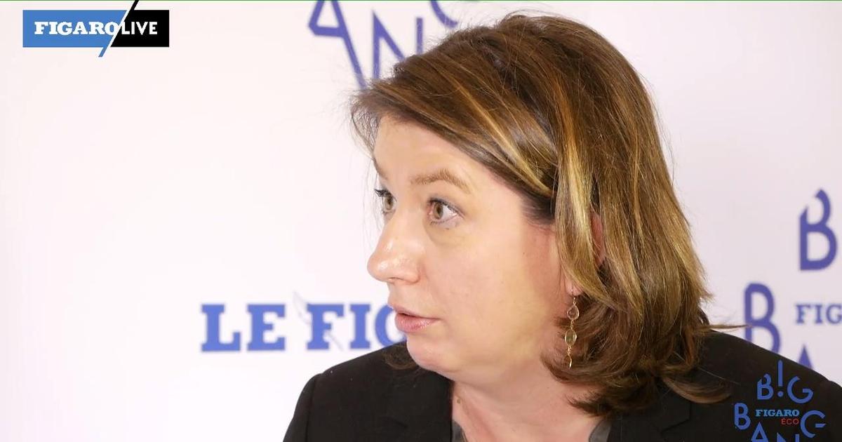 Ariane Bucaille: «La reconnaissance vocale marche mieux en anglais qu ...