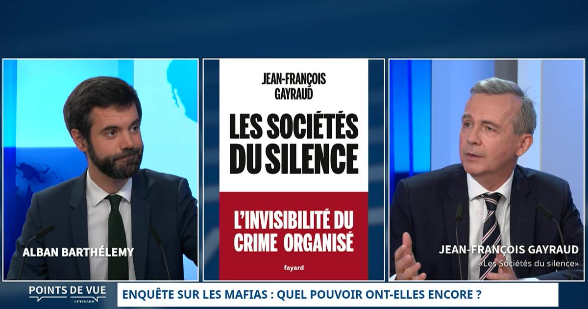 Enquête sur les mafias : quel pouvoir ont-elles encore ? Le point de ...