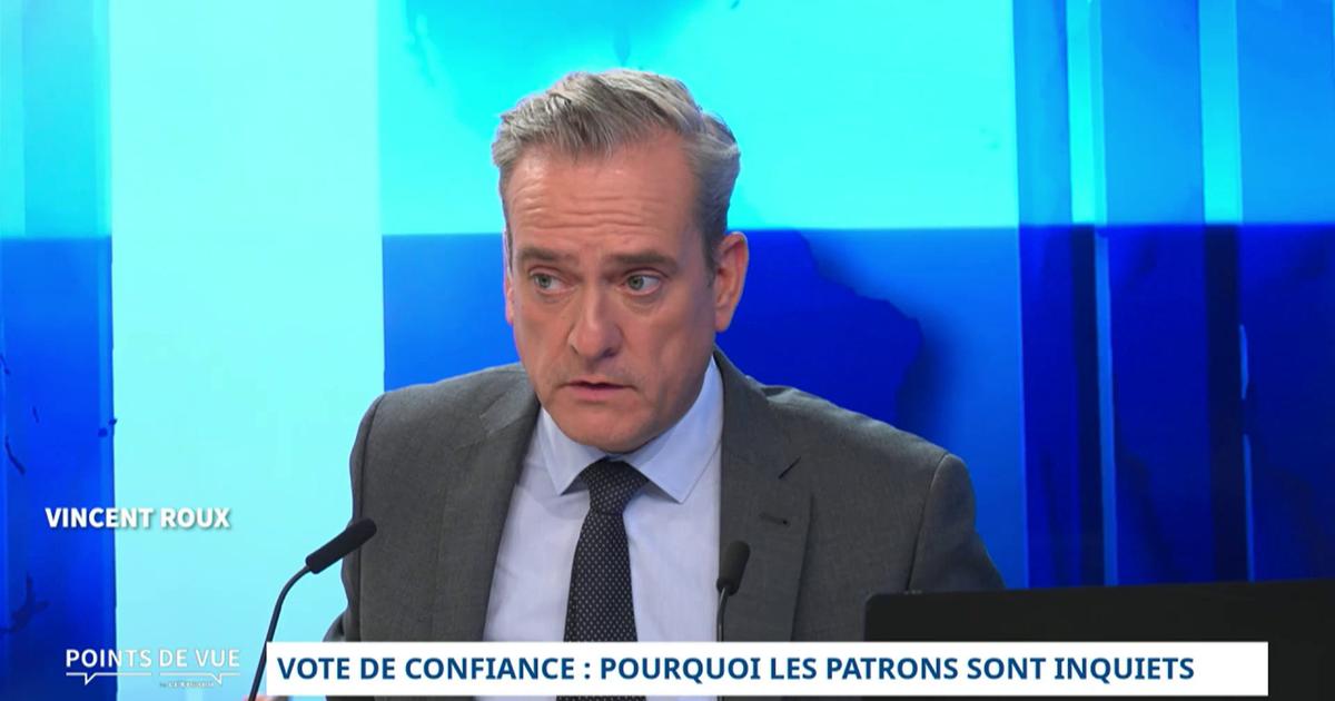 Vote de confiance : Philippe Brun en direct de l'Assemblée nationale