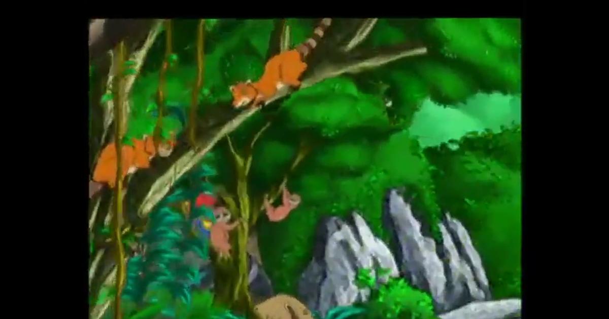 Go Diego ! - Saison 1 - Épisode 20 : Au secours des tortues de mer
