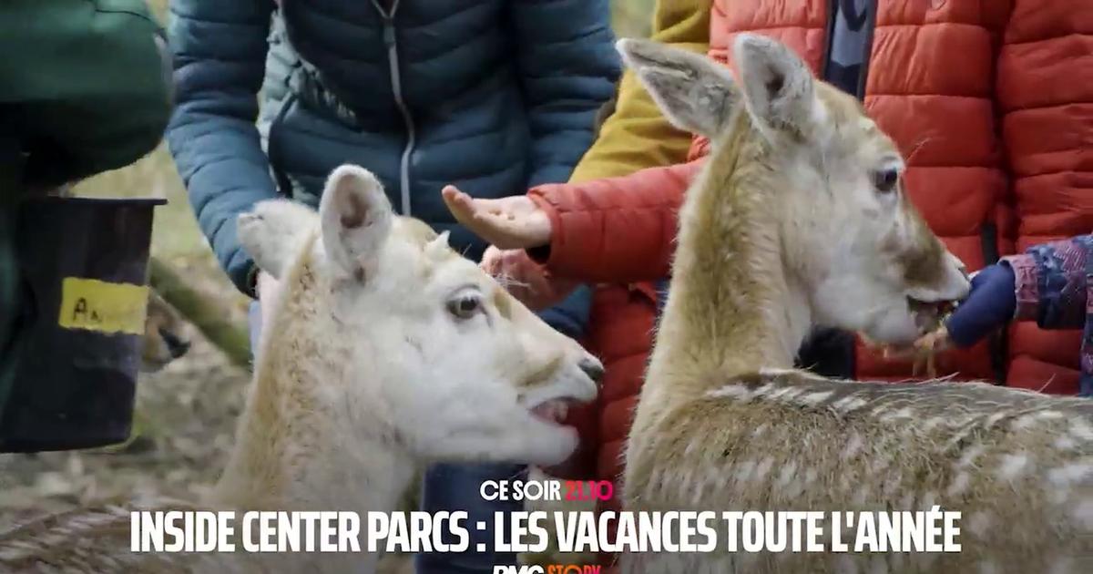 Inside Center Parcs : les vacances toute l'année