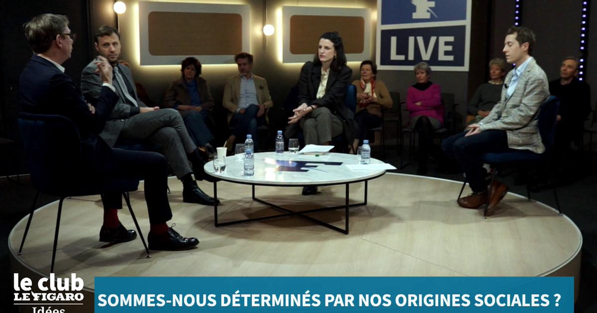 Gérald Bronner sur Édouard Louis et Annie Ernaux: «Le dolorisme savonne ...