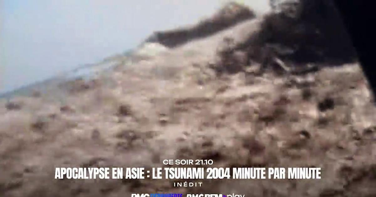 Apocalypse en Asie : le tsunami 2004 minute par minute